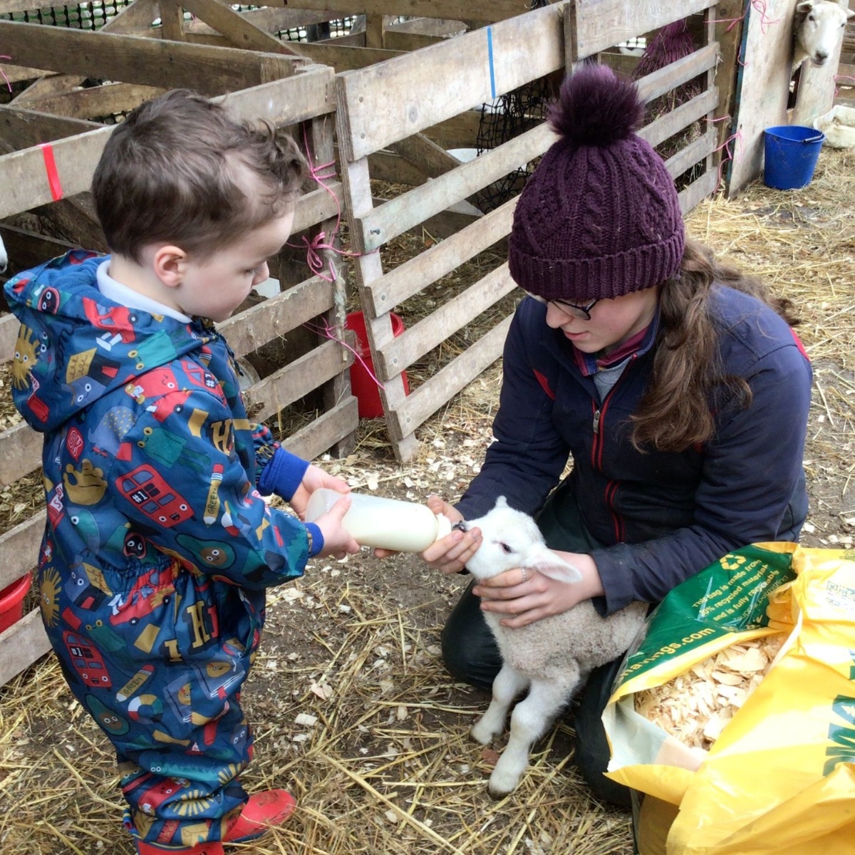 Stanton St Quintin - Fantastic Farm Visit